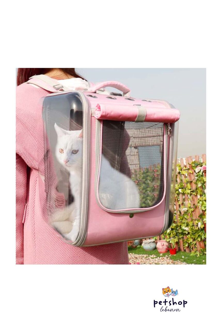 Backpack carrier Rectangular shape with clear windows on the sides ...