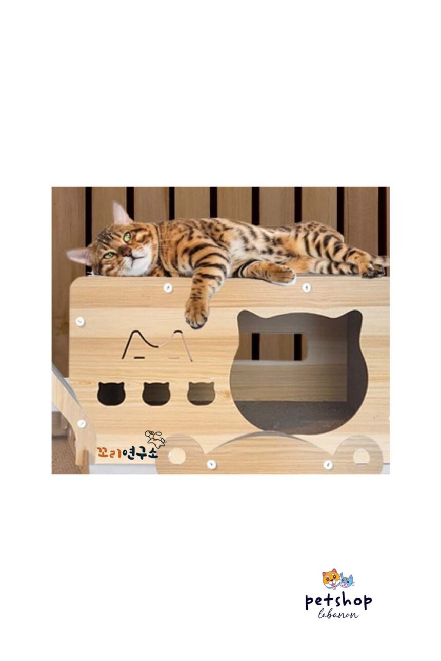 Cat wooden Scratcher Rectangular Shape | pet shop Lebanon