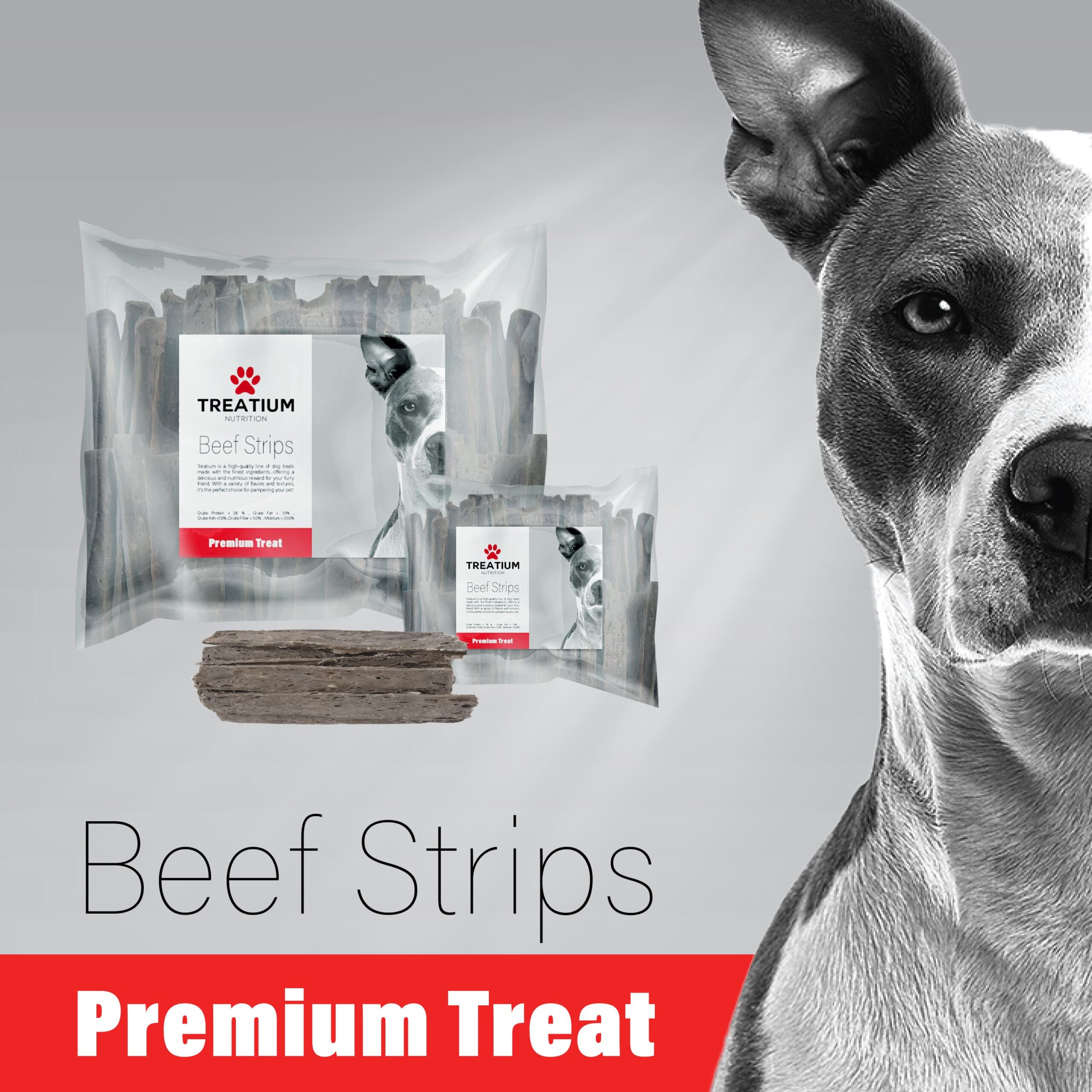 Treatium - Beef Strips | pet shop Lebanon